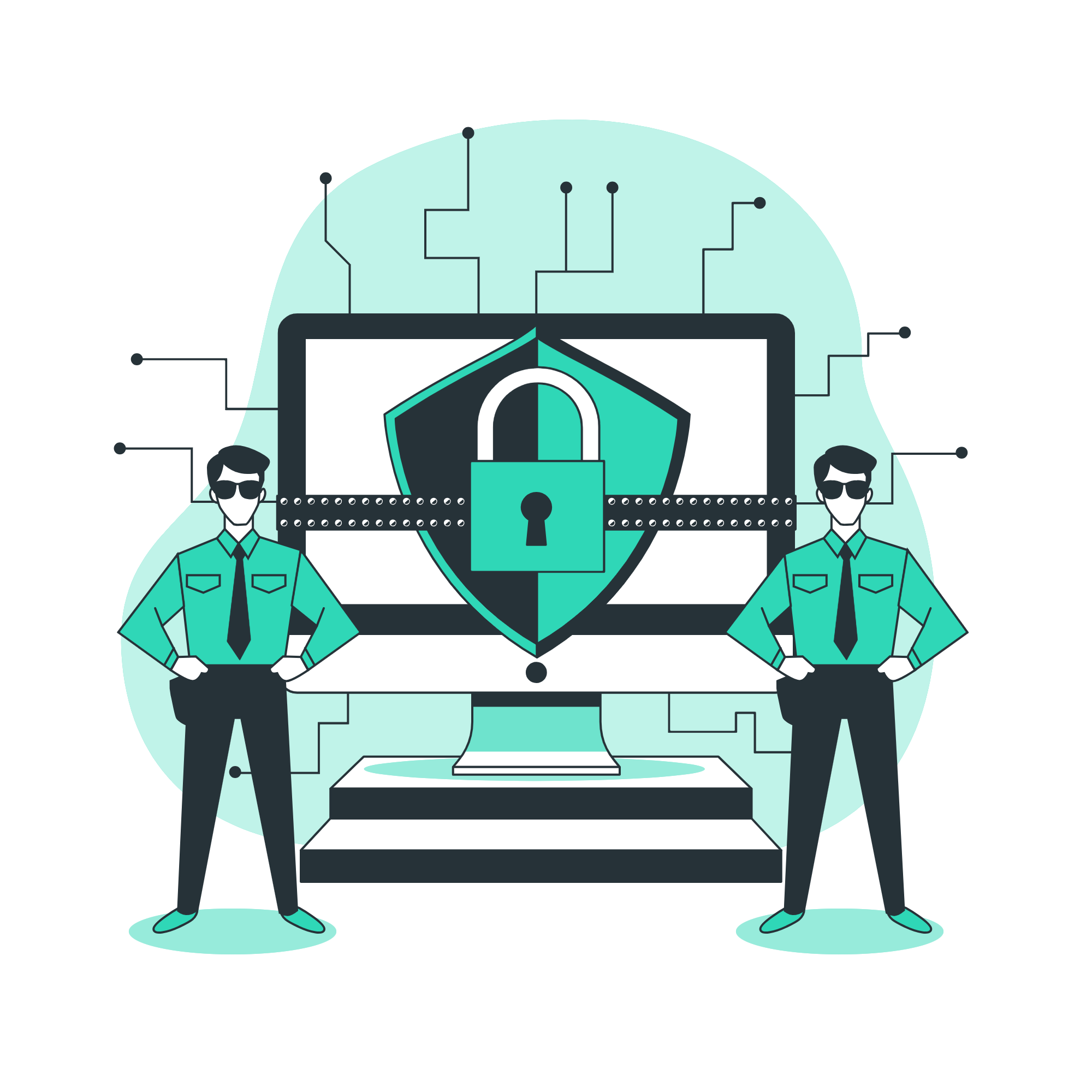 IronShield | Enterprise Browser Security | Fortified Gateway